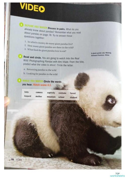 ·3rd week: material. Interactive worksheet | TopWorksheets