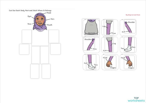 My body match. Interactive worksheet | TopWorksheets