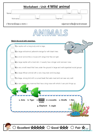 P.4 Unit 4 Wild animals : Animals ใบงานเชิงโต้ตอบ | TopWorksheets