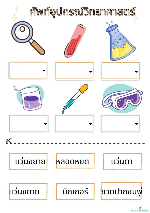.ใบงานที่ 2 Dropdown ใบงานเชิงโต้ตอบ | TopWorksheets
