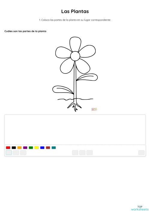Las Plantas. Ficha interactiva | TopWorksheets
