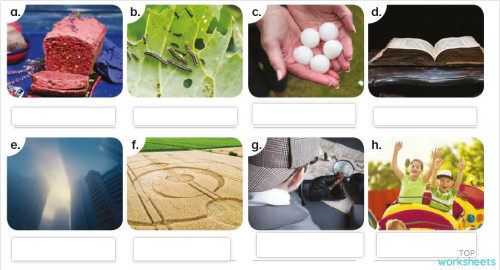 PP4 Activity 1 23.03.24. Interactive worksheet | TopWorksheets
