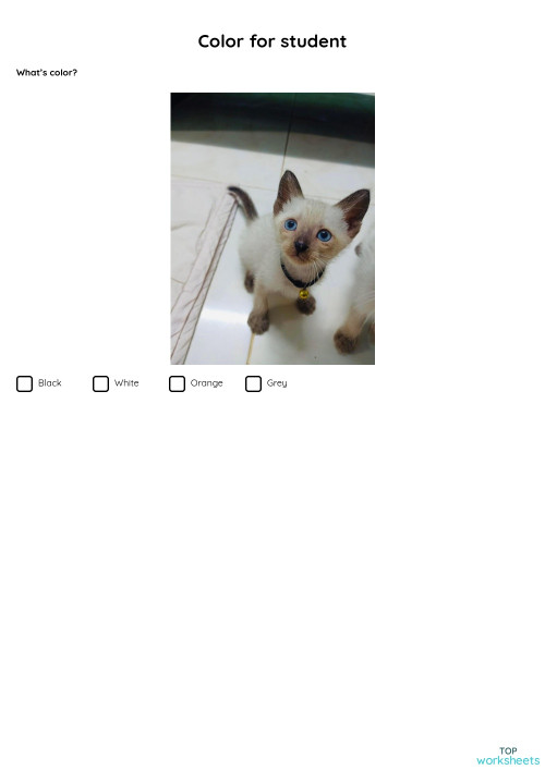 Color for student. Interactive worksheet | TopWorksheets