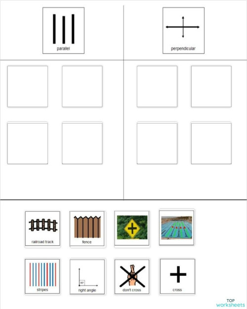 par/per. sort. Interactive worksheet | TopWorksheets