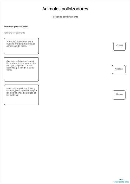 Animales polinizadores. Ficha interactiva | TopWorksheets