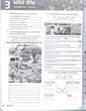 English Plus 2 - Workbook page 28. Interactive worksheet | TopWorksheets