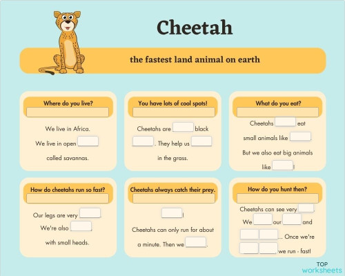 Meet the animals - Cheetah. Interactive worksheet | TopWorksheets