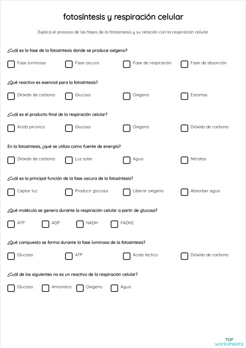 fotosíntesis y respiración celular. Ficha interactiva | TopWorksheets
