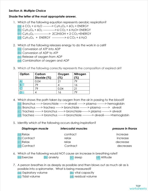 Human Genome Project. Interactive worksheet | TopWorksheets