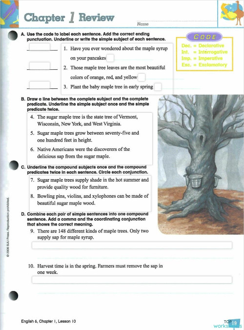Chapter 1 Review Pg 19. Interactive worksheet | TopWorksheets