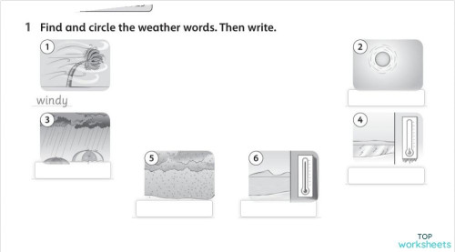 3rd grade Unit 10 level 1. Interactive worksheet | TopWorksheets