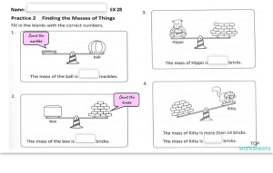 Chapter 10 MASS EX 28. Interactive worksheet | TopWorksheets