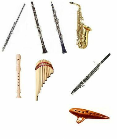 Familias de instrumentos musicales. Ficha interactiva | TopWorksheets