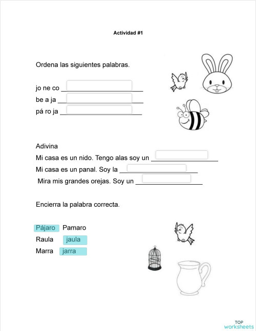 Ordena las palabas. Ficha interactiva | TopWorksheets