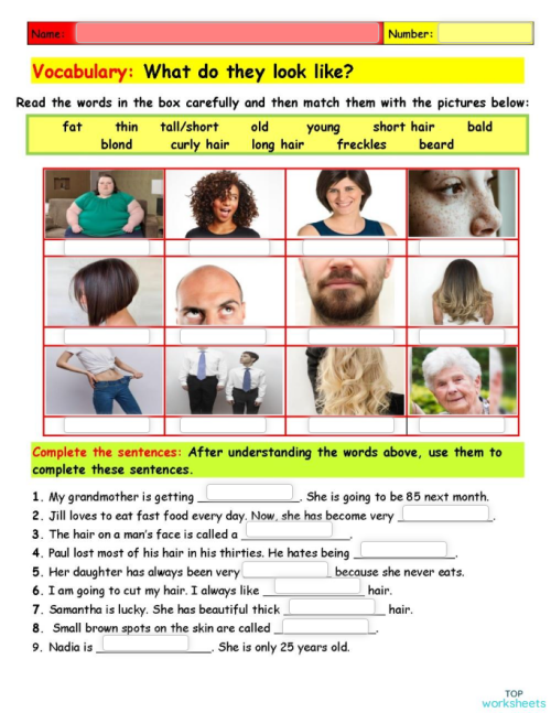 What do they look like? ใบงานเชิงโต้ตอบ | TopWorksheets