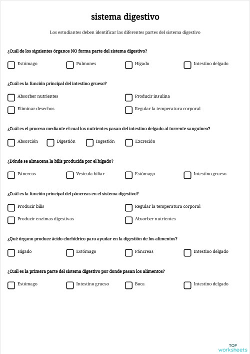 sistema digestivo. Ficha interactiva | TopWorksheets