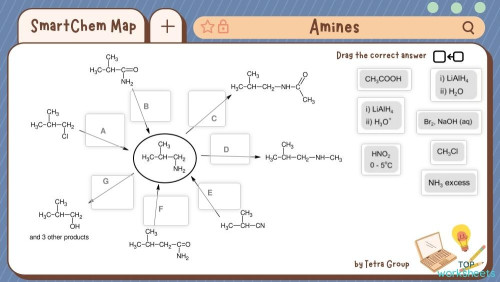 AMINES COMPOUNDS. Interactive worksheet | TopWorksheets