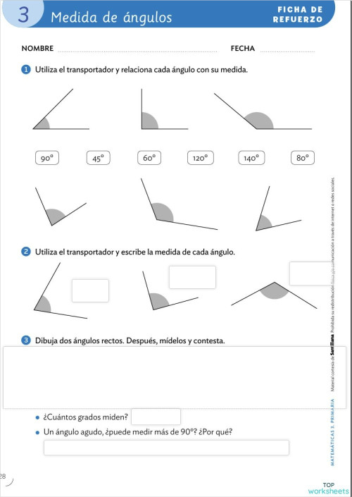 PARTES DE UN ÁNGULO. Ficha interactiva | TopWorksheets