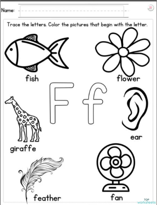 Circle the correct word. Interactive worksheet | TopWorksheets
