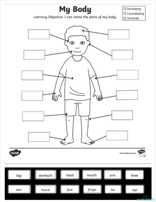 In the House. Interactive worksheet | TopWorksheets