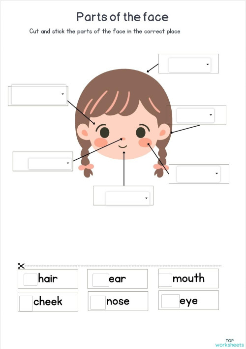 Parts of the face. Interactive worksheet | TopWorksheets