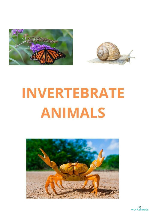 KINGDOMS OF LIVING THINGS. Interactive worksheet | TopWorksheets
