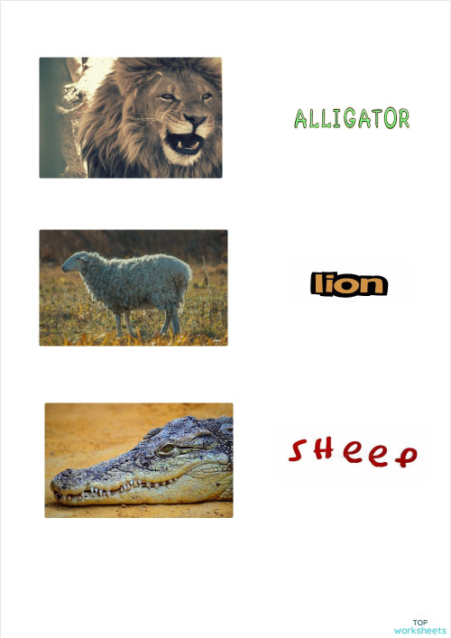 Draw your favourite animal. Interactive worksheet | TopWorksheets