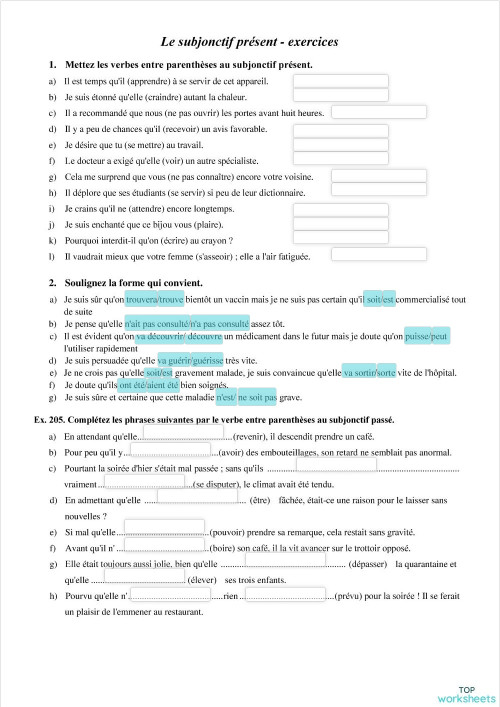 Subjonctif, subjonctif passé. Fiche interactive | TopWorksheets