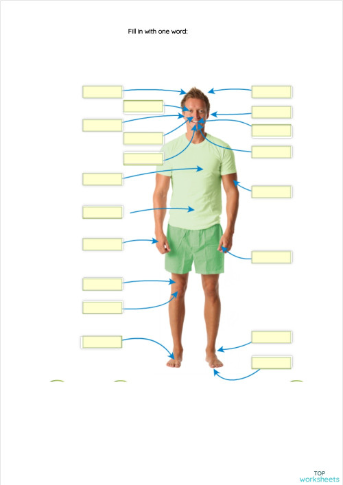 Body Parts Vocabulary A1+. Interactive worksheet | TopWorksheets