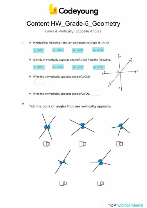 Content-HW-Lines & Vertically Opposite Angles. Interactive worksheet ...