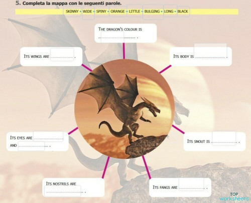 Dragon Harry Potter. Interactive worksheet | TopWorksheets