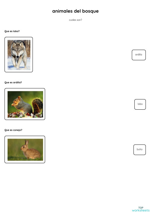 animales del bosque. Ficha interactiva | TopWorksheets