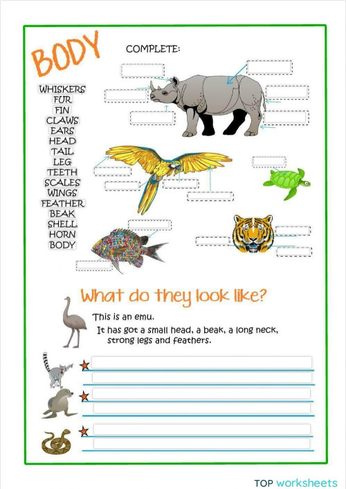Describing animals. Interactive worksheet | TopWorksheets