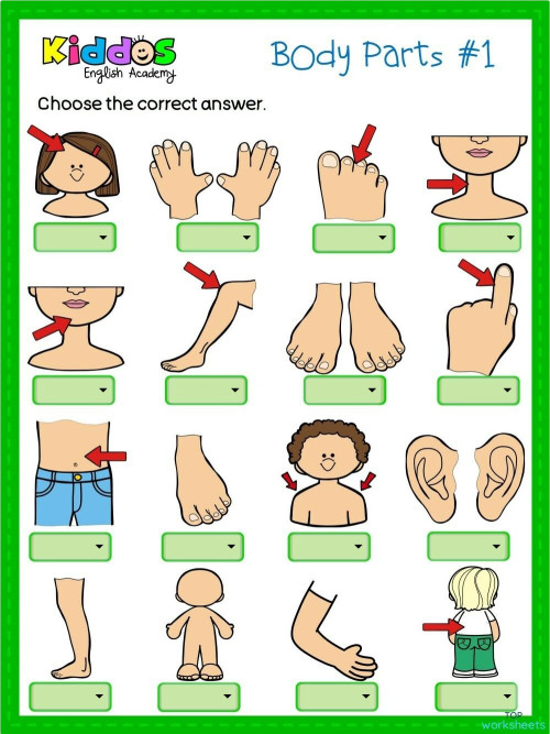 Body Parts #1. Interactive worksheet | TopWorksheets