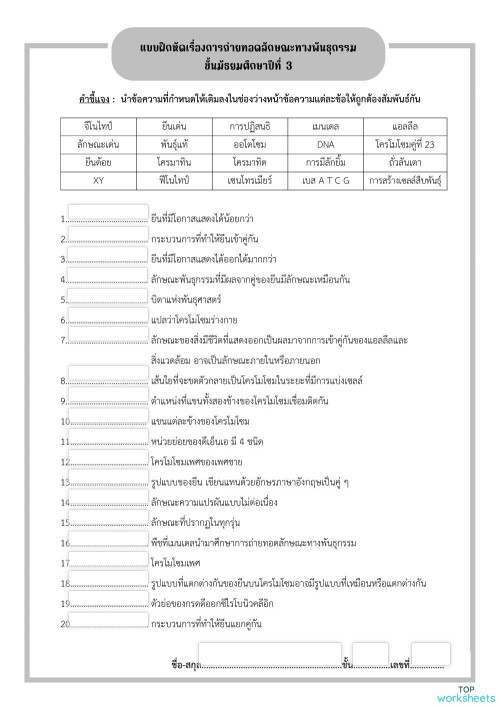 แบบฝึกหัดการถ่ายทอดลักษณะทางพันธุกรรม ใบงานเชิงโต้ตอบ | TopWorksheets