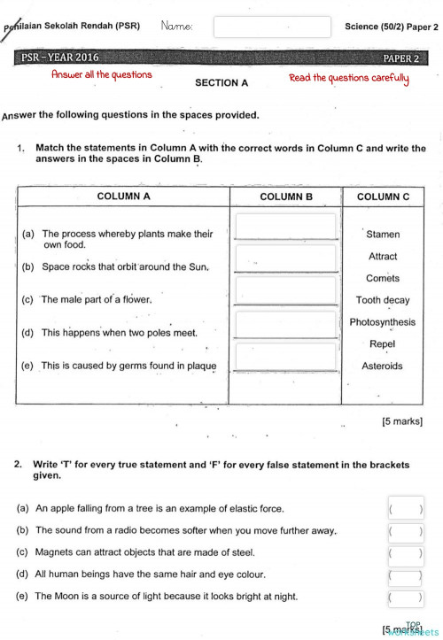PSR 2016 P2_SEC A. Interactive worksheet | TopWorksheets