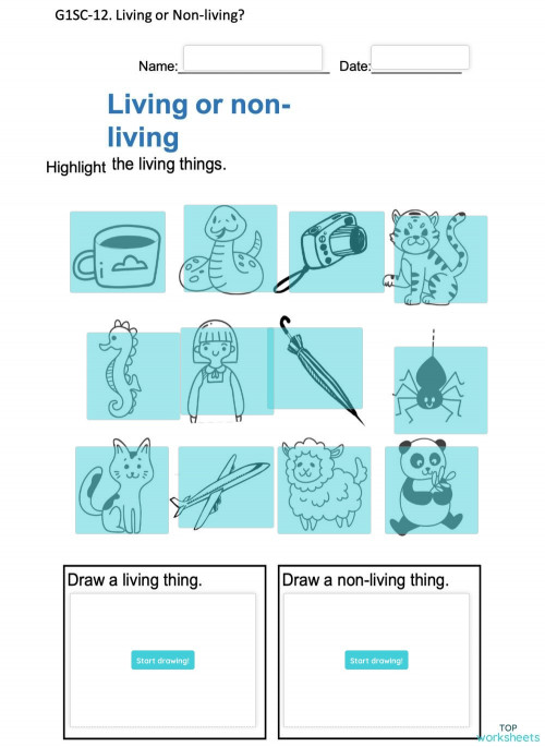 G1SC - 12. Living or Non- Living. Interactive worksheet | TopWorksheets