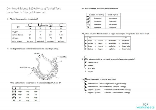 Year 9: interactive worksheets and online exercises | TopWorksheets