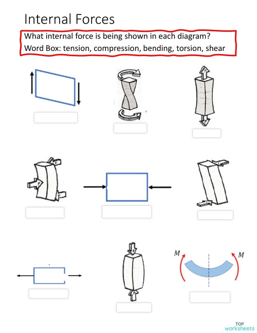 Structures: forces. Interactive worksheet | TopWorksheets