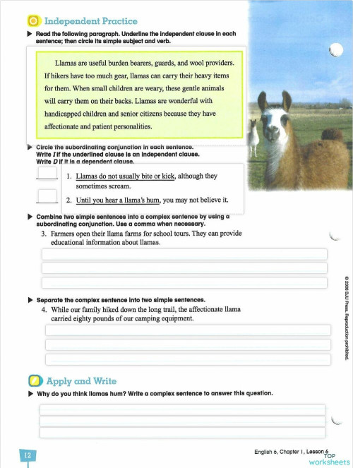 Independent Practice Pg 12. Interactive worksheet | TopWorksheets
