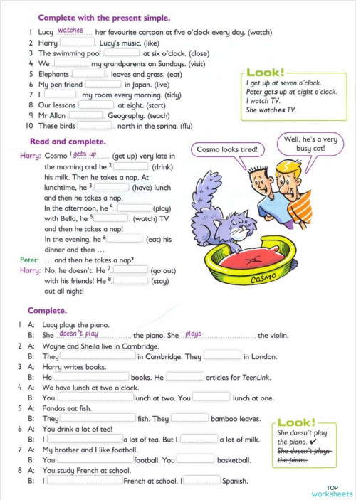Simple present.. Interactive worksheet | TopWorksheets