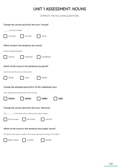 UNIT 1 ASSESSMENT: NOUNS. Interactive worksheet | TopWorksheets