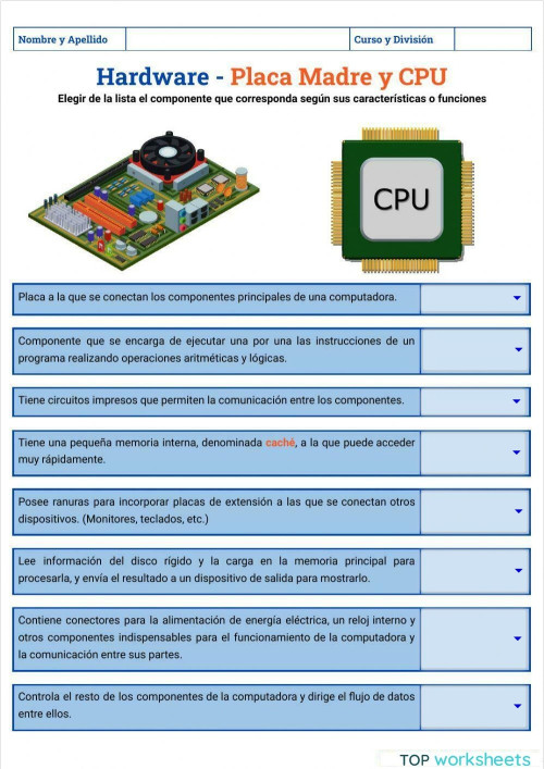 Placa Madre y CPU. Interactive worksheet | TopWorksheets