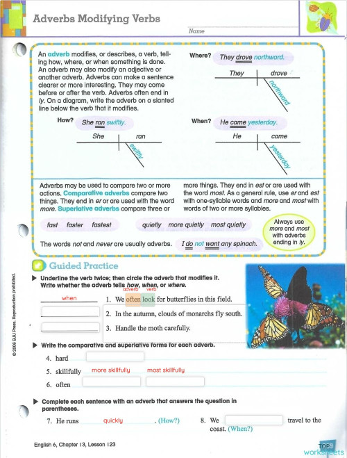 Lesson 123 Adverbs Modifying Verbs Pg 239. Interactive worksheet | TopWorksheets