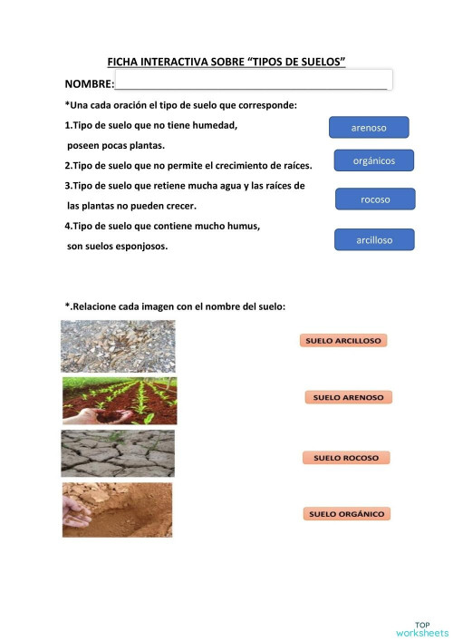 FICHA INTERACTIVA TIPOS DE SUELOS. Ficha interactiva | TopWorksheets
