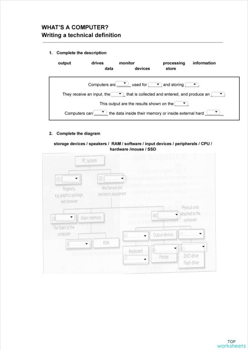 What's a computer?. Interactive worksheet | TopWorksheets
