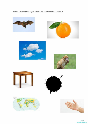Identificación de elementos con la letra M. Ficha interactiva ...