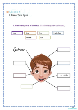 Parts of the head Practice. Interactive worksheet | TopWorksheets