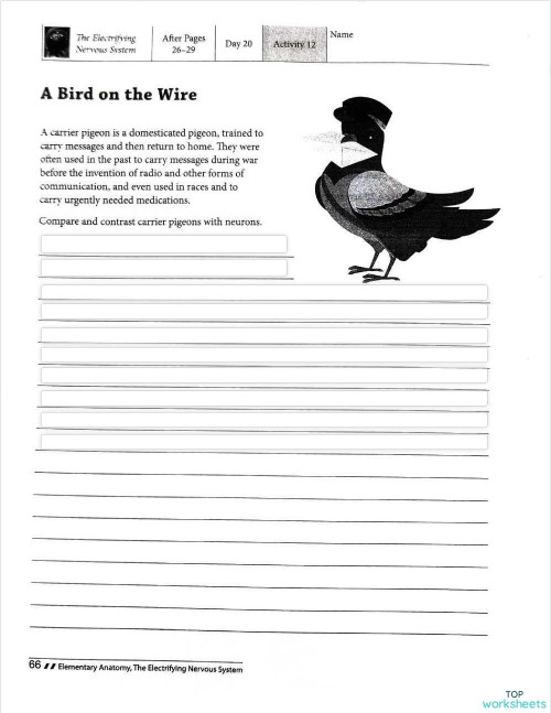 Activity 12: A Bird on the Wire Pg 66. Interactive worksheet ...