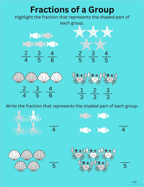 Fractions: interactive worksheets and online exercises | TopWorksheets